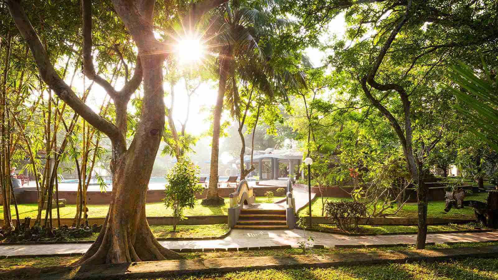 Siddhalepa Ayurveda | Siddhalepa Sales Representatives Receive....