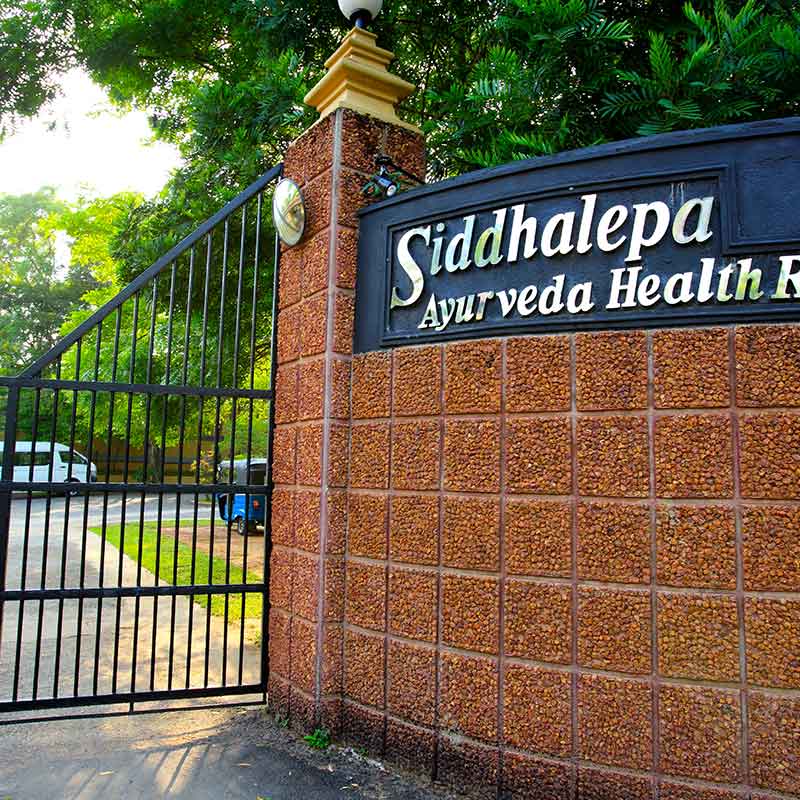 Gallery | Siddhalepa Ayurveda Health Resort Wadduwa